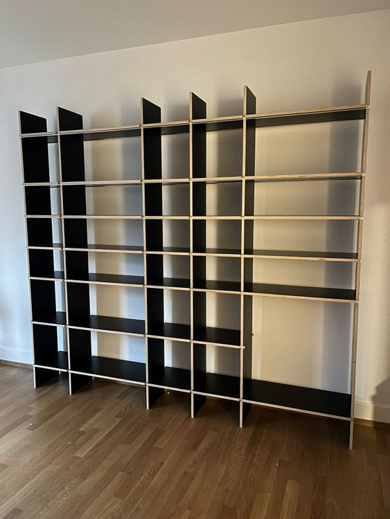 Moormann Design Regal Nachbau von Schreiner (Gebraucht) in Nidau für ...