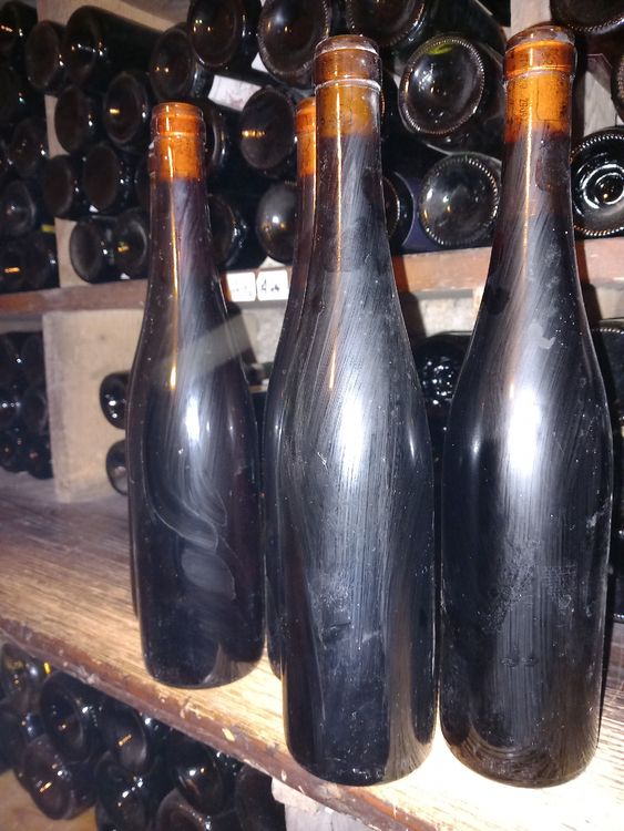 Lot de 5 Medinah vin d'algerie oran sans etiquette | Kaufen auf Ricardo