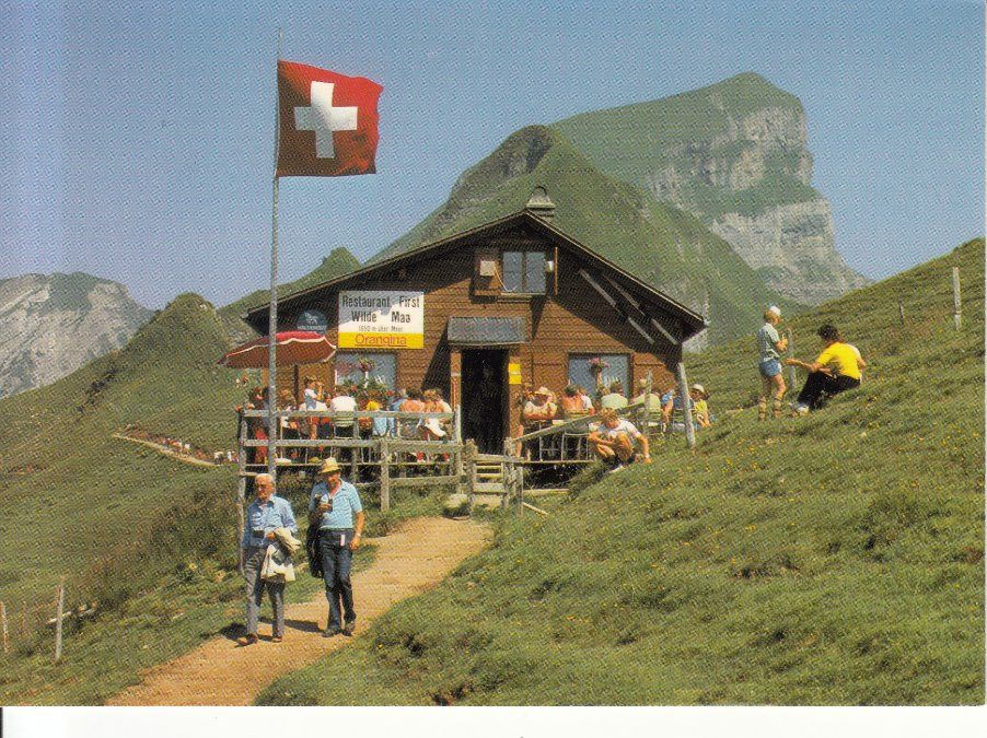 Hoch Ybrig Wildä Maa 1987 (Gebraucht) in Bürglen TG für CHF 2.5 – mit ...