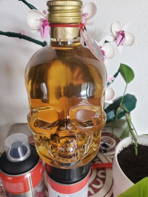Spiced Rum / Skullhead (Neu und originalverpackt) in Waltenschwil für ...