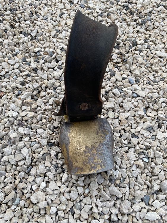 Cloche à vaches | Kaufen auf Ricardo