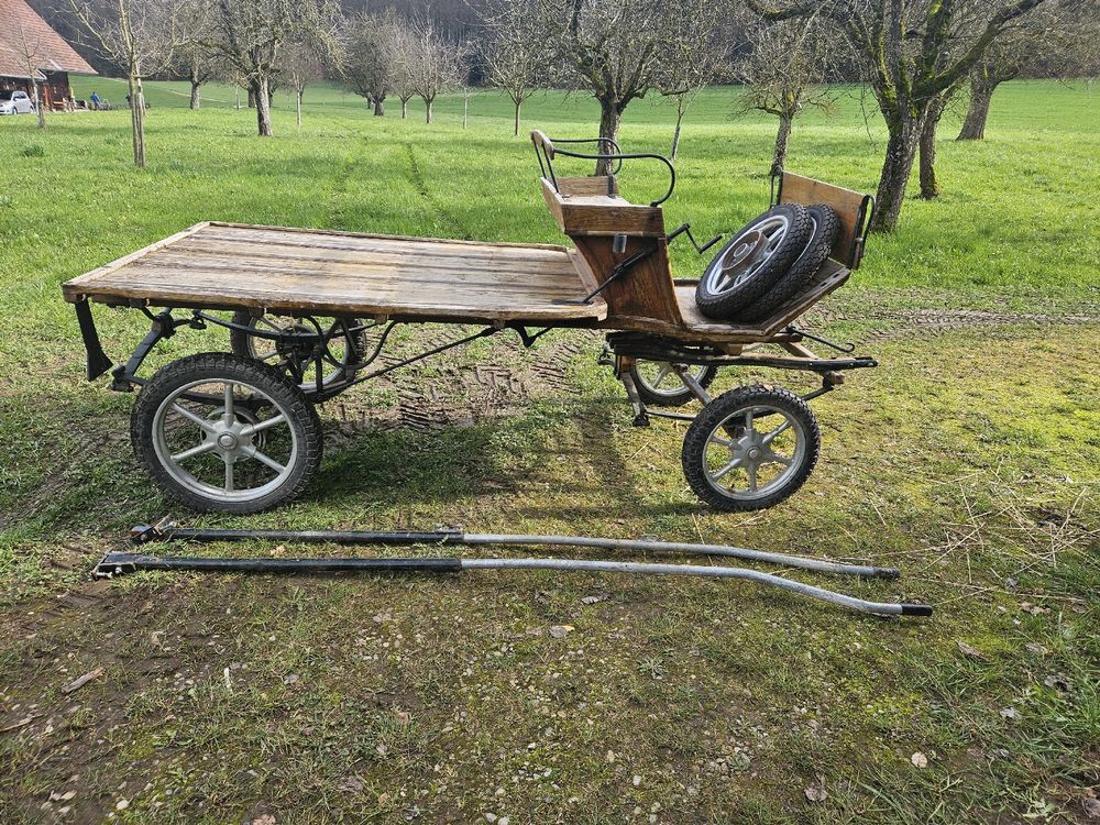 Pferdekutsche (Gebraucht) in Buchs LU für CHF 1 – nur Abholung auf ...