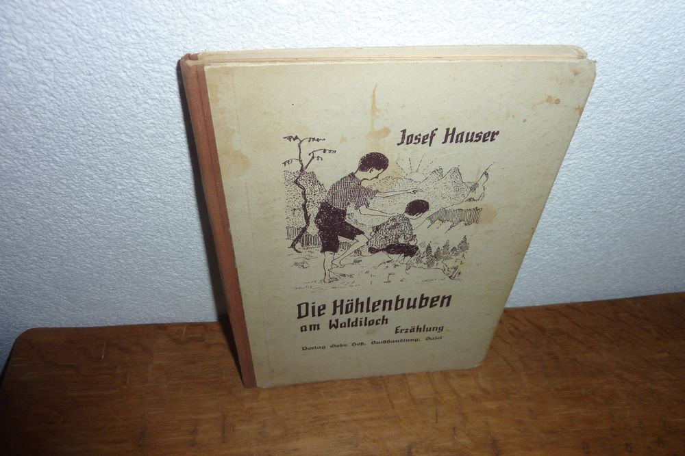 Die Höhlenbuben am Waldiloch,Erzähnung,Josef Hauser,antik | Kaufen auf ...