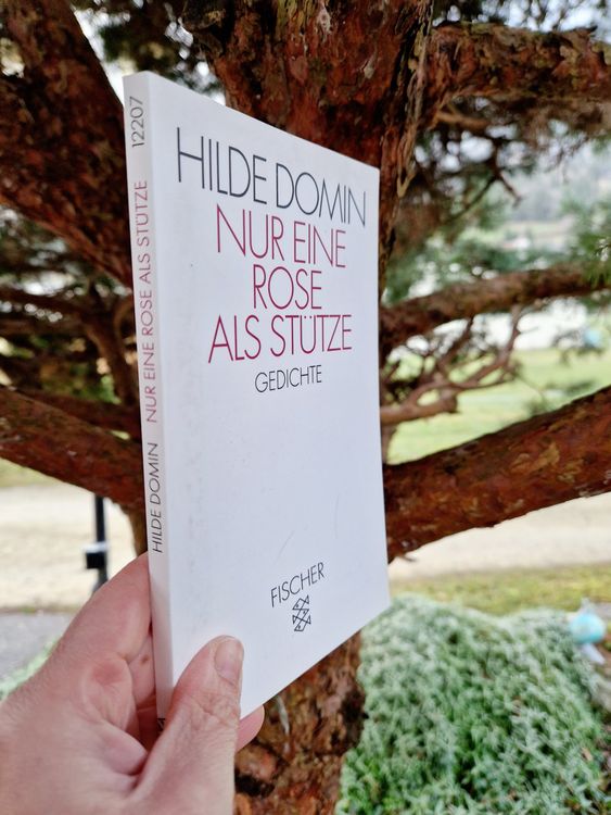 Nur eine Rose als Stütze -Hilde Domin/Psychologie/Trauer (Gebraucht) in ...