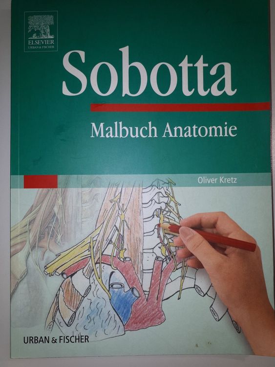 Sobotta Malbuch Der Anatomie