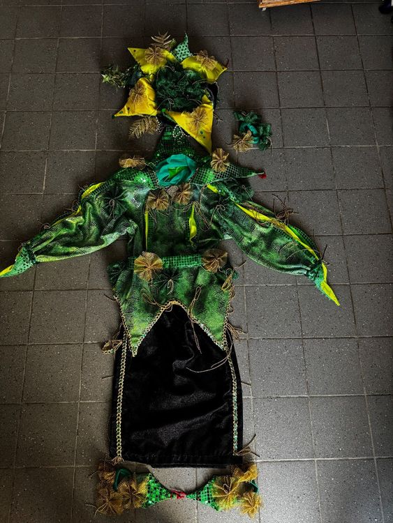 Fasnachtskostüm Motto Wald Efeu (Gebraucht) in Oberbuchsiten für CHF 1 ...