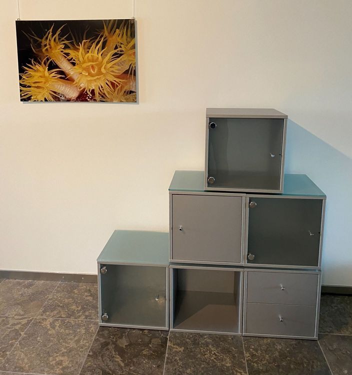 variables Regalmodul (Stapelbox) (Gebraucht) in Bäch SZ für CHF 30 ...