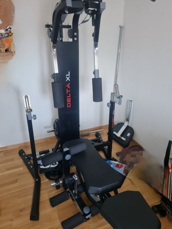 Kettler delta xl (Gebraucht) in für CHF 250 – nur Abholung auf Ricardo ...