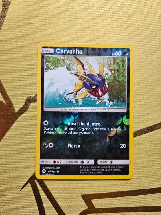 Sun & Moon - Carvanha | Kaufen auf Ricardo