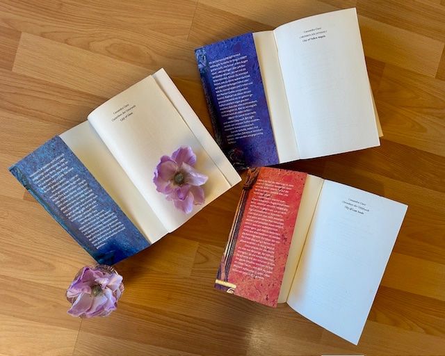 Chroniken der Unterwelt von Cassandra Clare, Band 3, 4 & 5 (Neu (gemäss ...