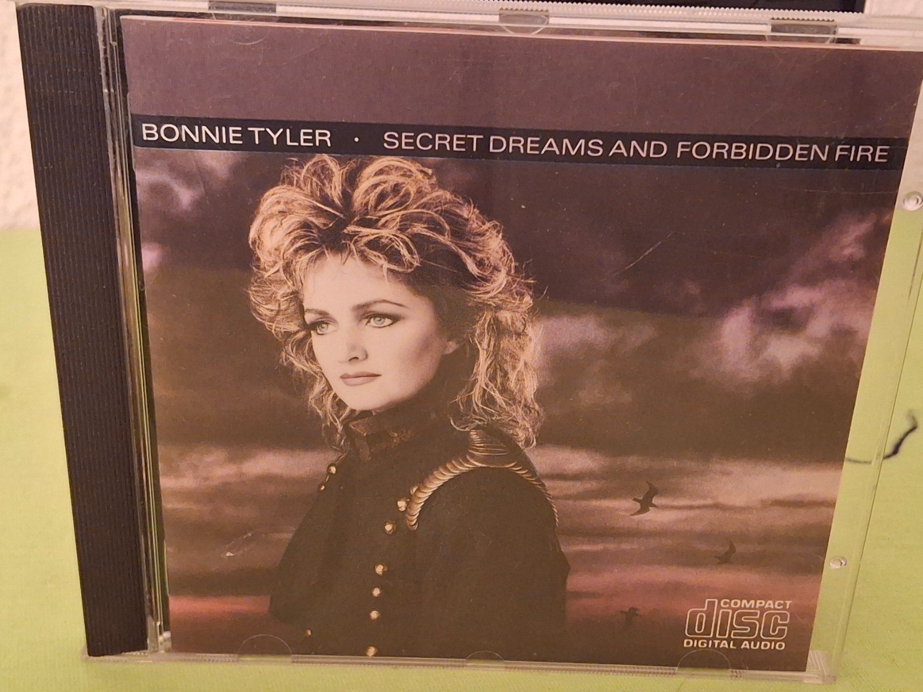 Bonnie Tyler CD - Secret Dreams & Forbidden Fire (Gebraucht) in Aarberg ...