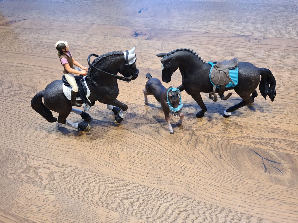 Schleich Figur Pferdeset dunkel, türkis mit Fohlen (Gebraucht) in ...