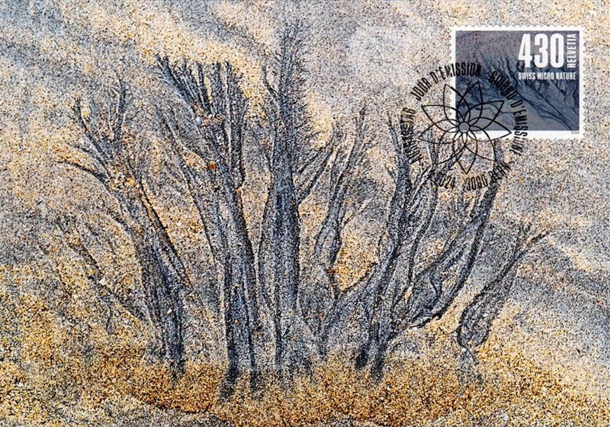 Maximumkarte Naturmuster - Sand | Kaufen auf Ricardo