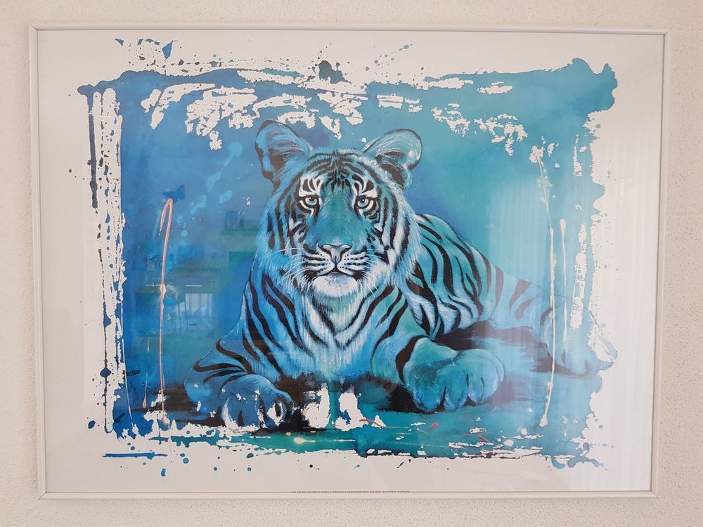 Rolf Knie Bild Tiger | Kaufen auf Ricardo
