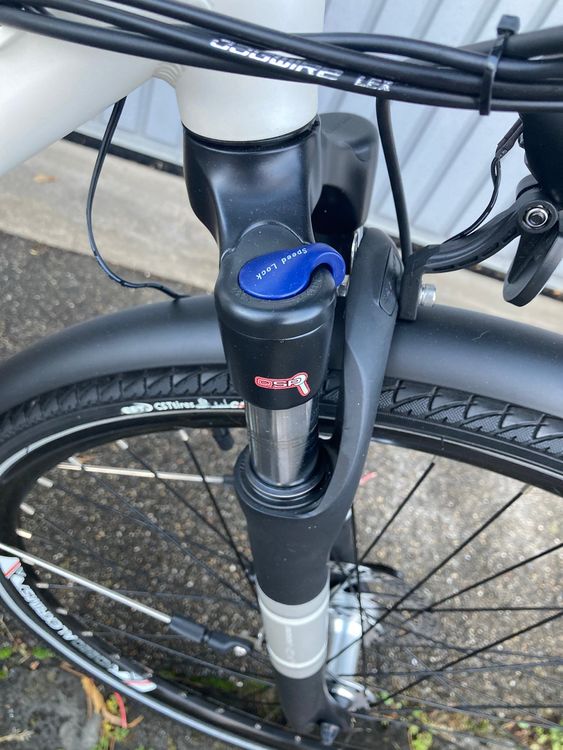 E-Bike ZENITH BIKES, CLASSIC PLUS, ZCL°02, nigelnagelneu (Neu (gemäss Beschreibung)) in Zürich ...