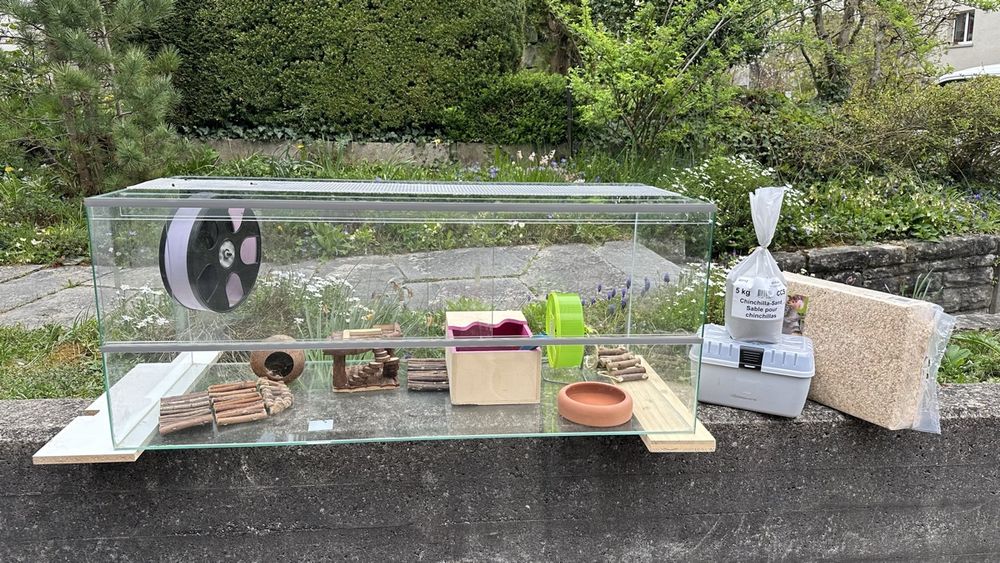 Hamster Terrarium mit viel Zubehör | Kaufen auf Ricardo
