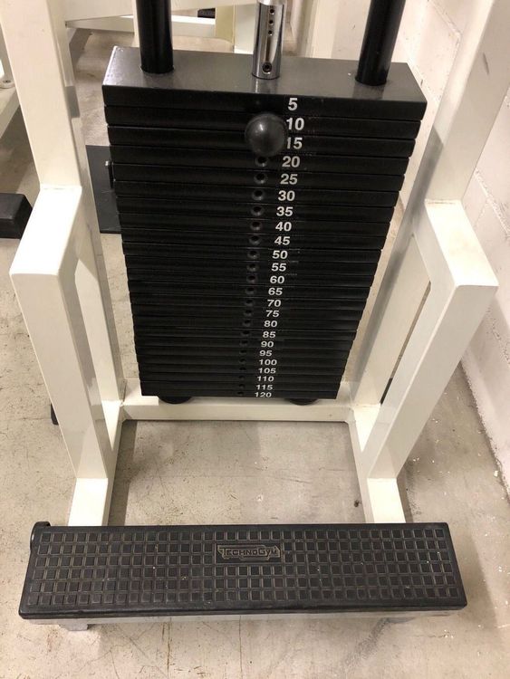 Technogym Standing Calf Raise (Gebraucht) in Triesen für CHF 50 – mit ...