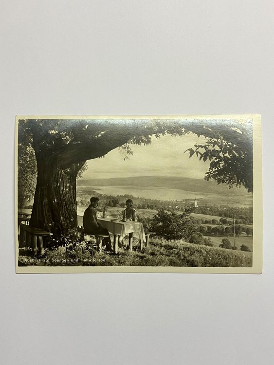 AK Seengen, Hallwilersee, Kurhaus Eichberg (Gebraucht) in Regensdorf ...