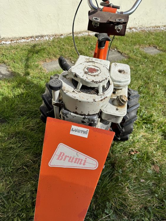 Brumi (Gebraucht) in Untereggen für CHF 300 – nur Abholung auf Ricardo ...