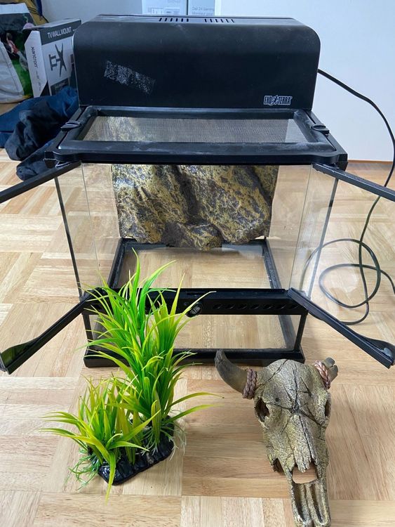 Exo Terra komplett Terrarium 30x30x30 (Gebraucht) in Neuenhof für CHF 40 – nur Abholung auf ...