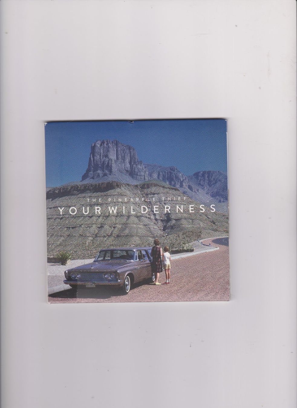 The Pineapple Thief – Your Wilderness CD (D'occasion) à Bex pour CHF 2 ...