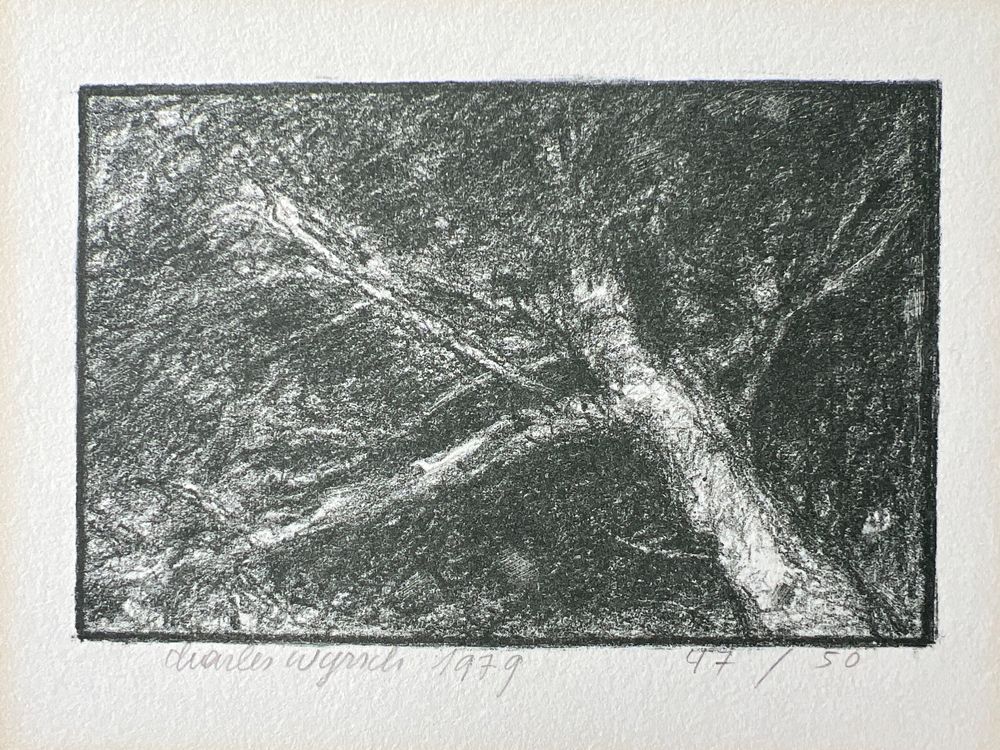 Charles Wyrsch, handsigniert, nummeriert (Gebraucht) in Rain für CHF 29 – nur Abholung auf ...