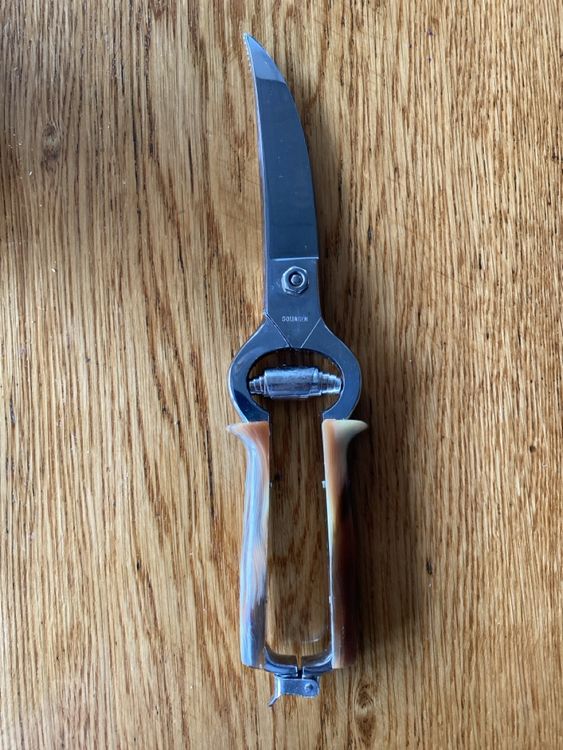 Geflügelschere Solingen Simon Bern mit Büffelhorn Griffen (Gebraucht) in Buchs SG für CHF 12 ...