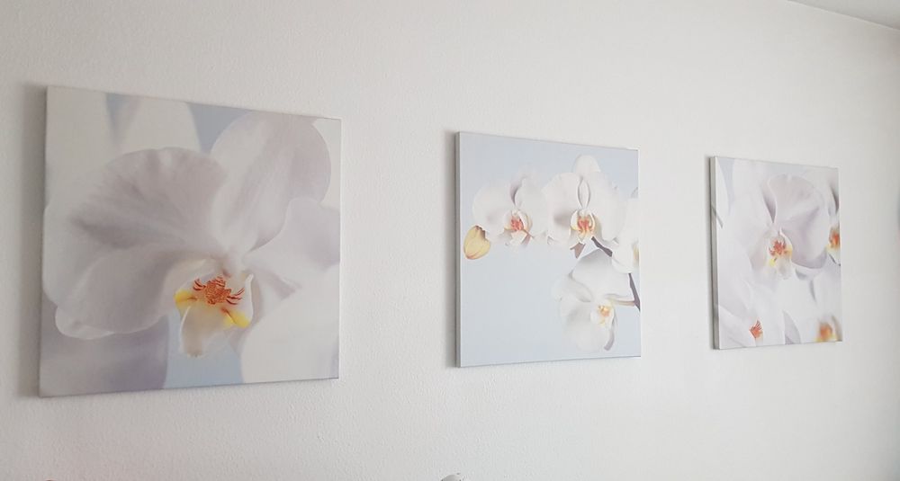 Orchideenbilder 3er Set | Kaufen auf Ricardo