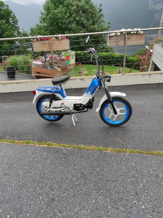 Cilo Wildcat Cilo 518 | Kaufen auf Ricardo