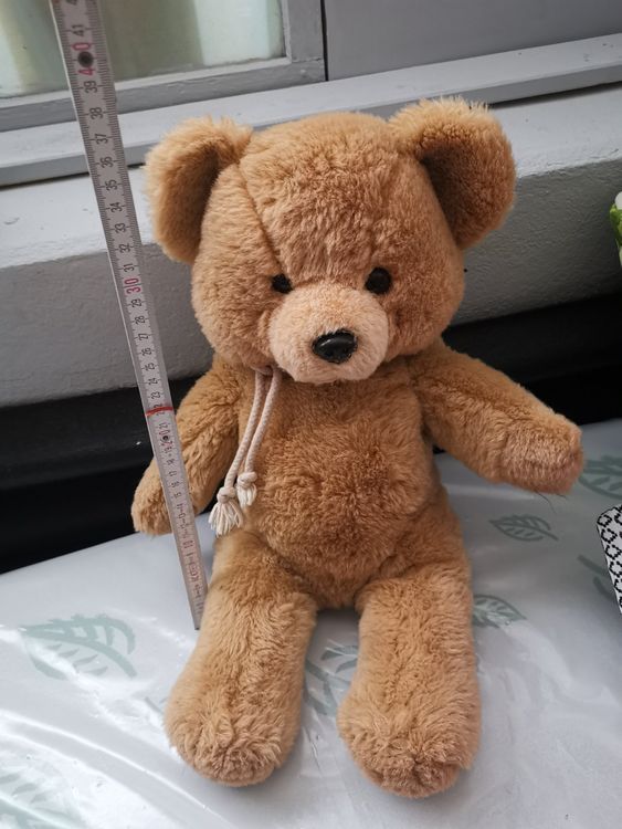 Teddy (Gebraucht) in Sitterdorf für CHF 19 – mit Lieferung auf Ricardo ...