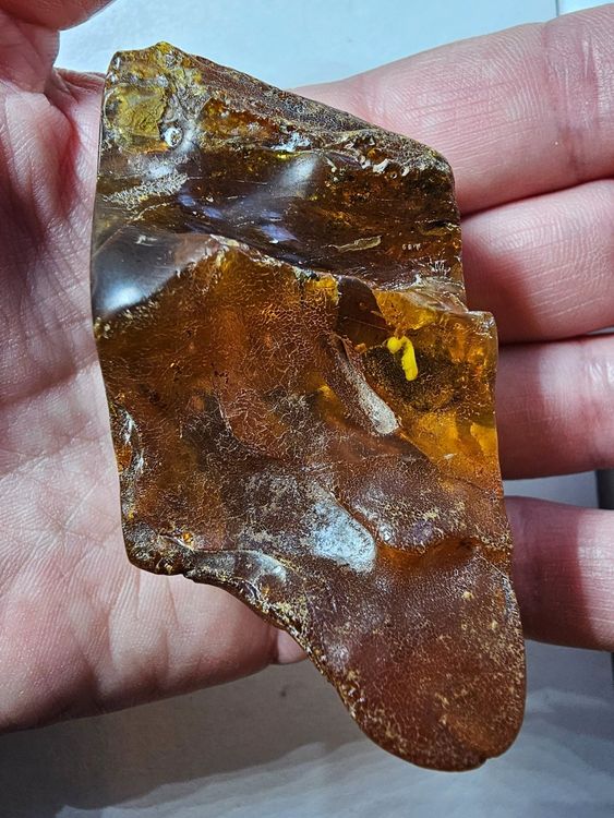 50gr Rohbernstein Insekte echt Roh Bernstein baltisch selten (Neu (gemäss Beschreibung)) in ...