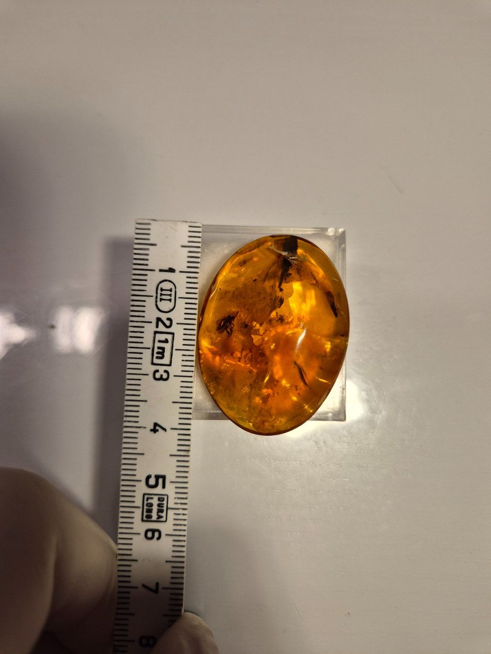 Ambre baltique naturel avec inclusion d’insecte – env. 4 cm (D'occasion ...