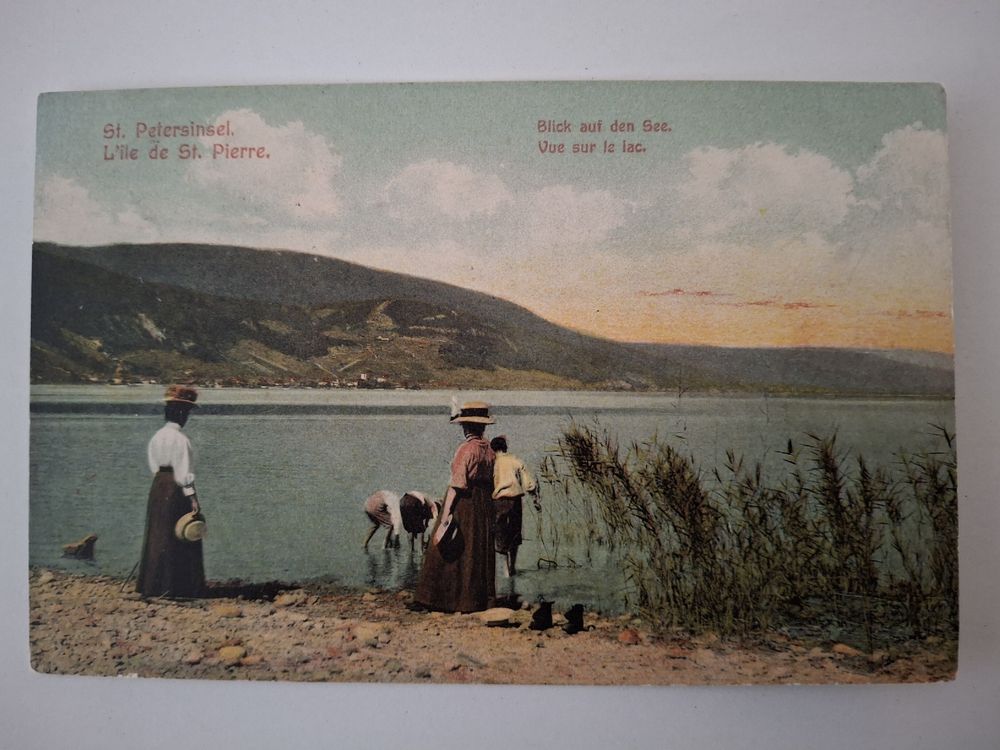 St. Petersinsel im Bieler See, belebt, 1916 (Gebraucht) in Thayngen für ...