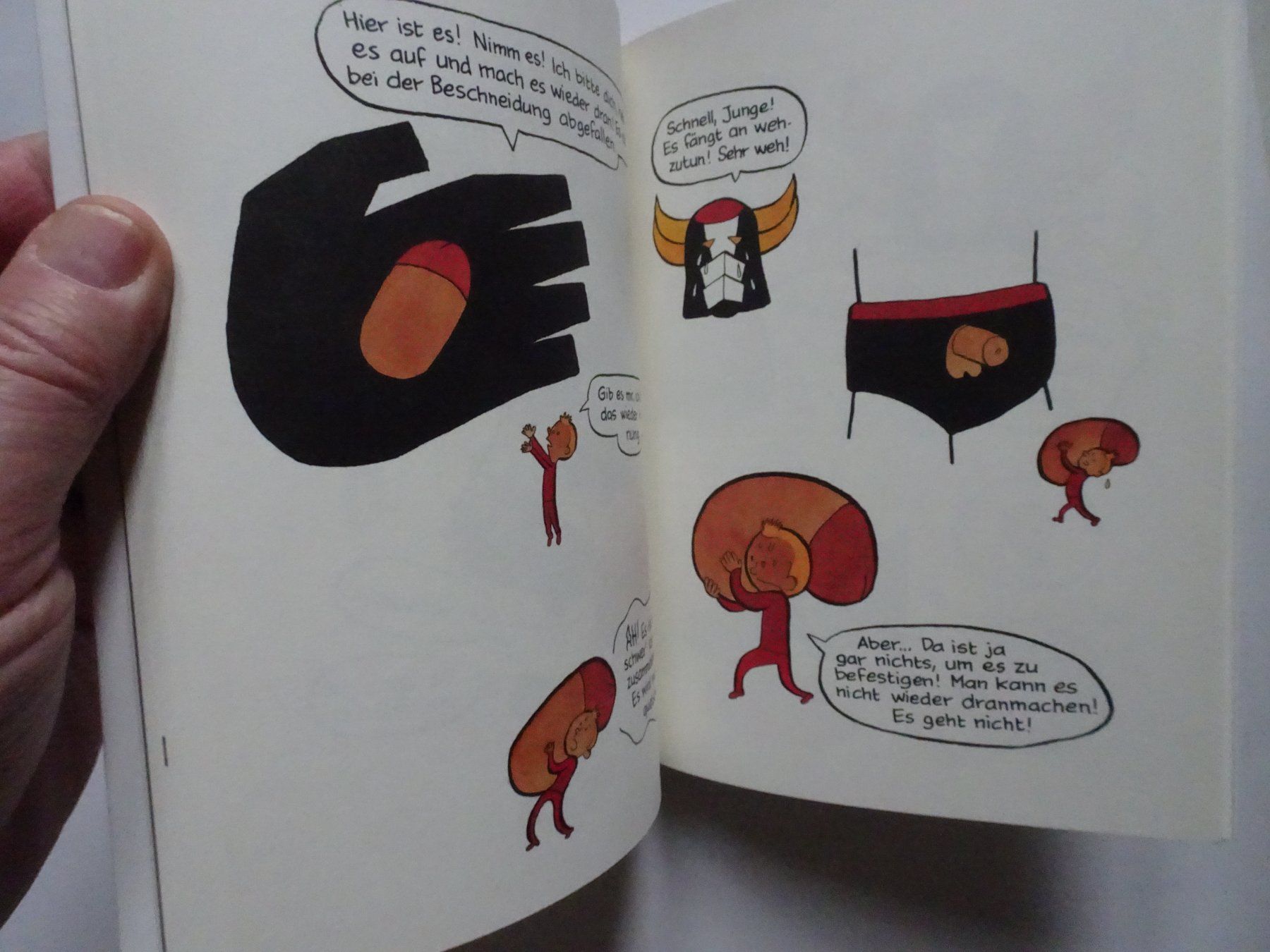 Riad Sattouf - Meine Beschneidung - Comic - Top Zustand! (Gebraucht) in ...