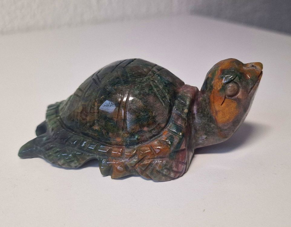 Schildkröte aus Ozeanjaspis 296g (Neu (gemäss Beschreibung)) in Matzingen für CHF 19.9 – mit ...