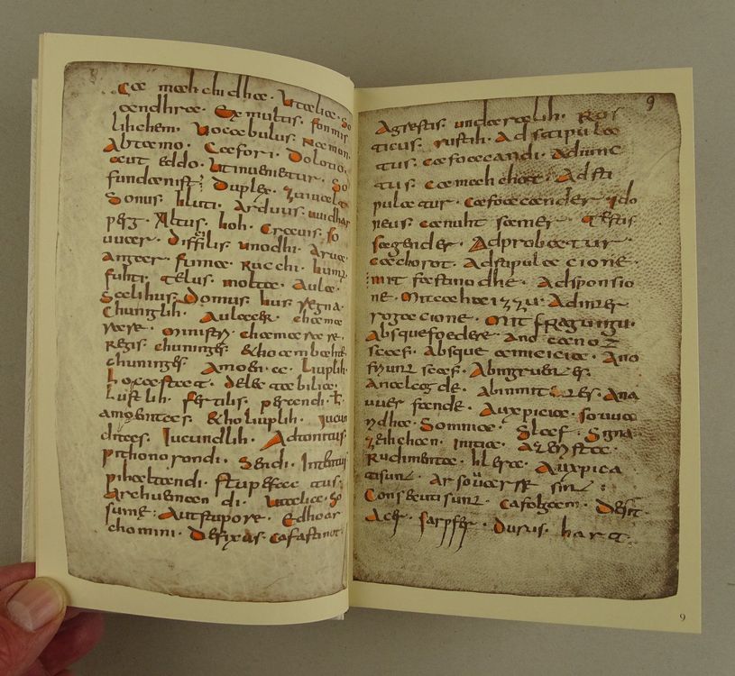 DAS ÄLTESTE DEUTSCHE BUCH DIE "ABROGANS"-HANDSCHRIFT, ST. G. | Kaufen ...