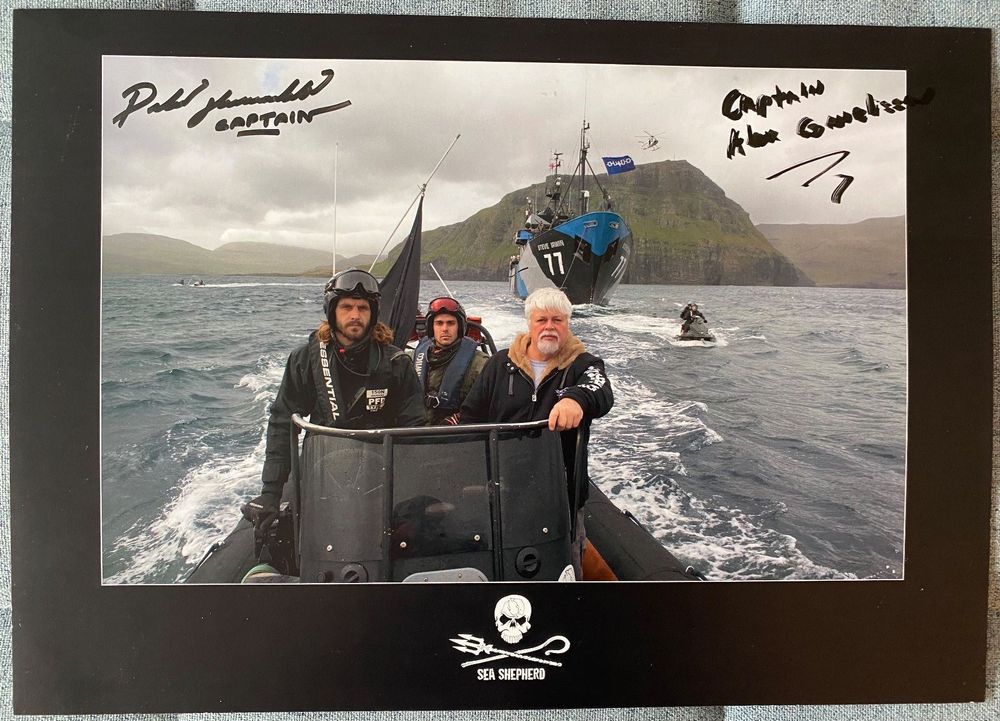 Poster von Sea Shepherd (Gebraucht) in Besazio für CHF 43 – mit ...