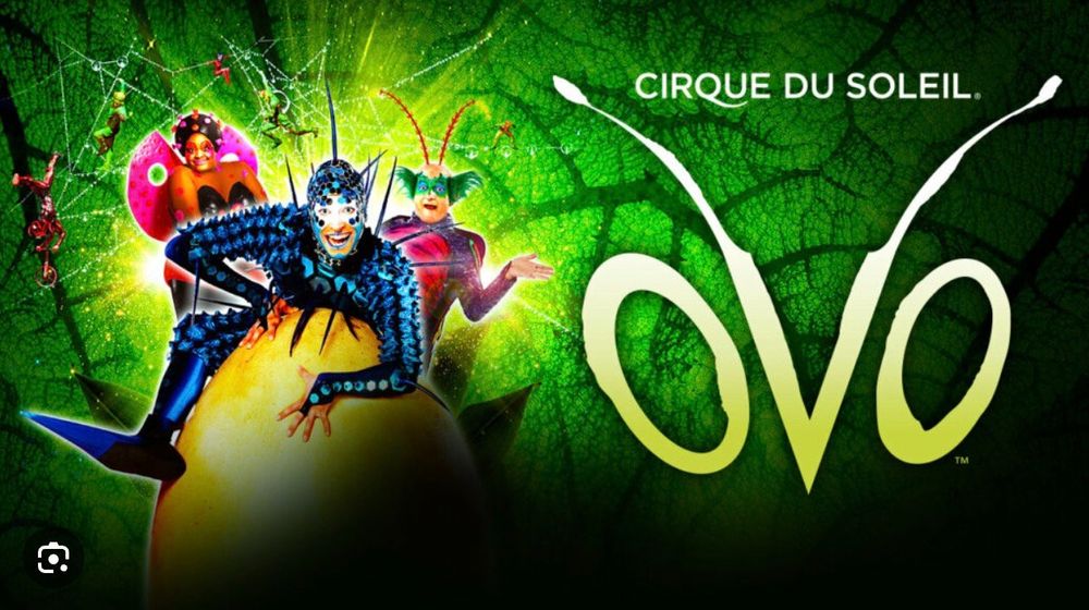 2 Top Tickets: Cirque du Soleil - OVO, Zürich, 12.10.23 | Kaufen auf ...