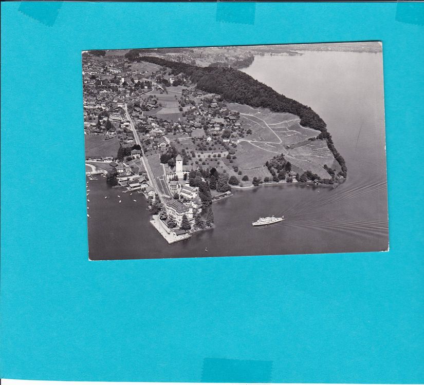 Spiez-Flugaufnahme (Gebraucht) in St. Peterzell für CHF 1 – mit Lieferung auf Ricardo kaufen