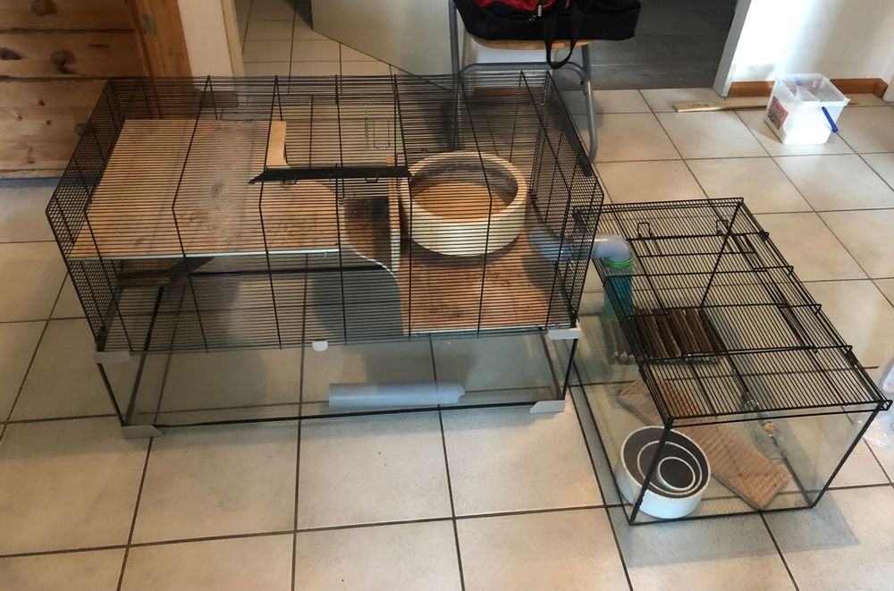 Hamster-/Mäusekäfig (Gebraucht) in Rodersdorf für CHF 45 – nur Abholung ...