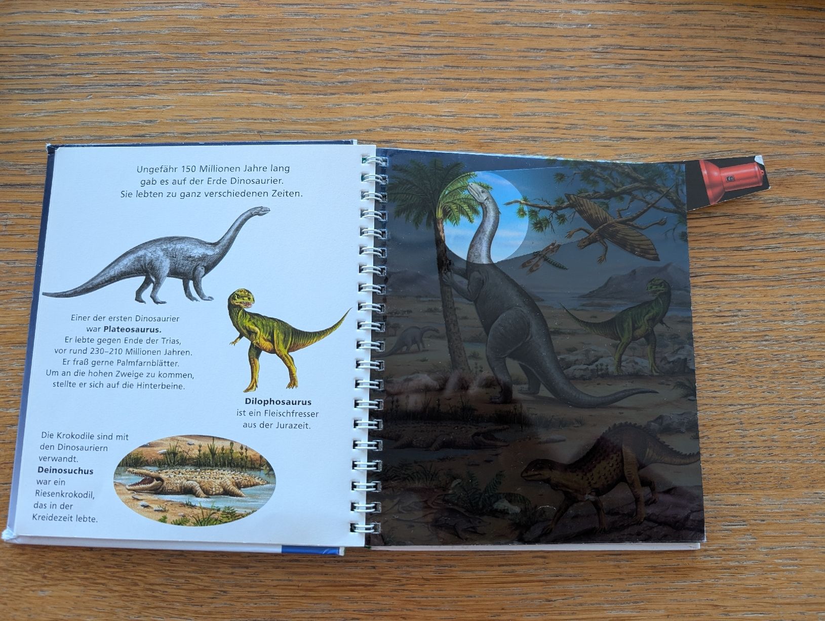 Kinderbücher Set Meyer "Licht an!"— Dino, Zoo und der Körper (Gebraucht ...