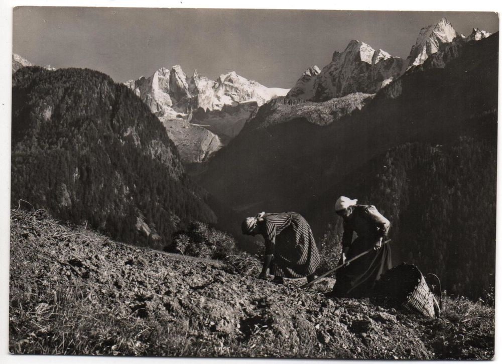 ENGADIN Frauen arbeiten auf Feld (Gebraucht) in Jona für CHF 9.9 – mit Lieferung auf Ricardo kaufen