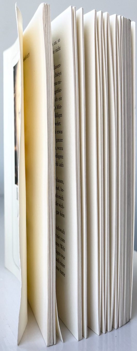 Der Hahn ist tot – Ingrid Noll – Diogenes TB – gut gelesen (Gebraucht ...