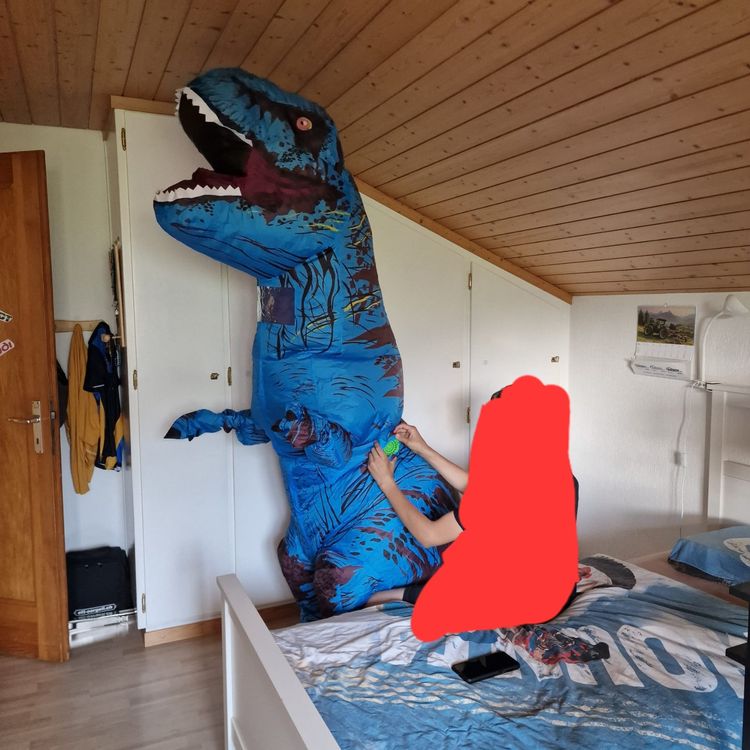 2 Dinosaurier-Maskottchen Mieten!!! (Gebraucht) in Zweisimmen für CHF ...