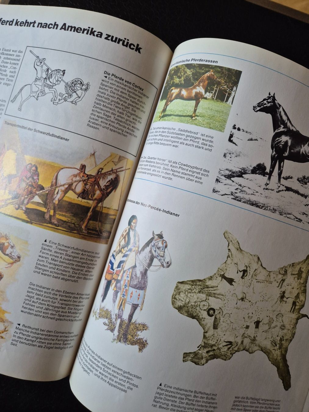 Pferde - Die Welt entdecken - Tolles Pferdebuch zu verkau... (Gebraucht ...