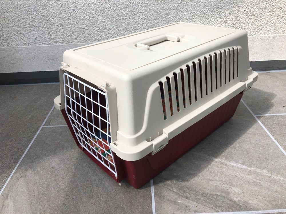 Transportbox | Kaufen auf Ricardo
