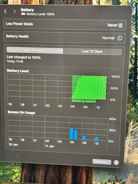 Apple MacBook Air, Retina, 13-Inch, 2020, Intel + Garantie (Gebraucht ...