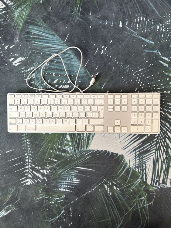 Apple Keyboard A1243, CH Layout (Gebraucht) in Worb für CHF 10 – mit ...