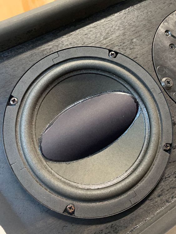 Rowen R2/R3 Basslautsprecher frisch ab Sickenreparatur (Gebraucht) in ...