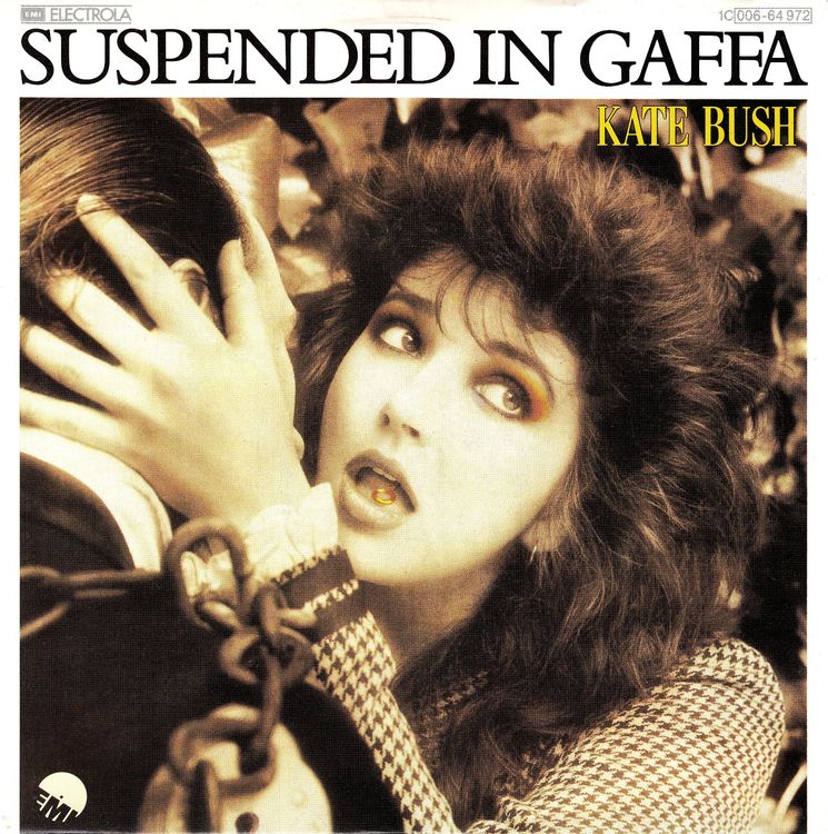 Kate Bush Vinyl Single von 1982 (Gebraucht) in Volketswil für CHF 8 ...